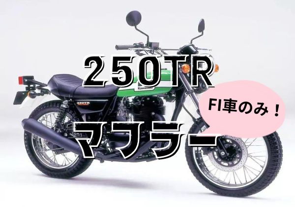 250TRマフラー8選比較！FI車のサビたマフラーを交換しよう - とっちゃん.lab