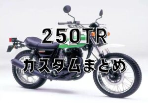 250TRカスタム6選！カスタムパーツからおすすめメーカーまで解説 - とっちゃん.lab