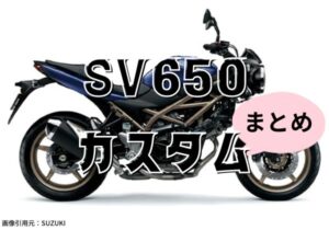 SV650カスタム7選！機能性からドレスアップまで自分好みのSVに - とっちゃん.lab